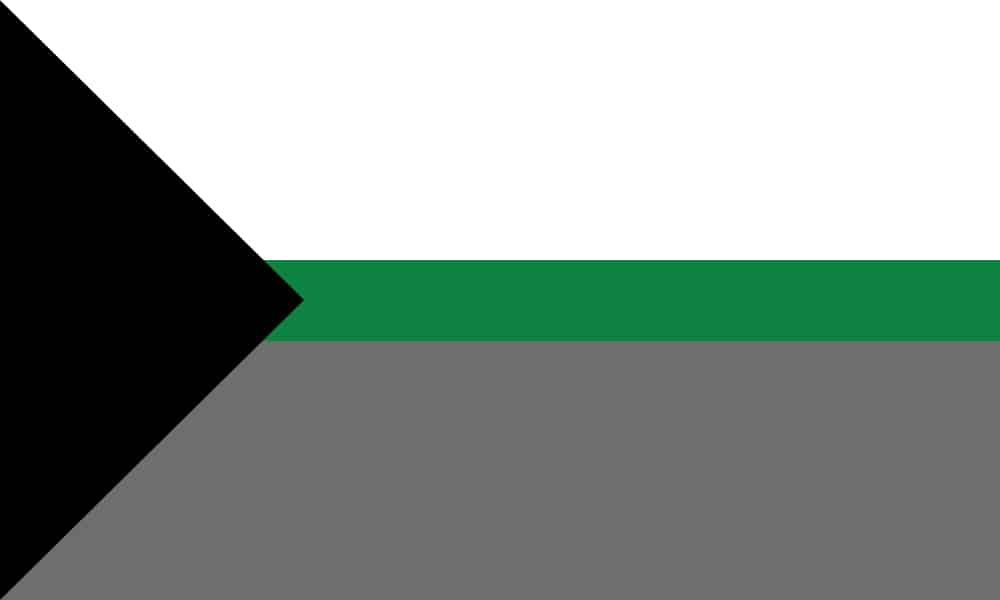 What Is The Demiromantic Flag? - Gayety
