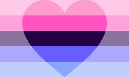 The Definition Of Omniromantic